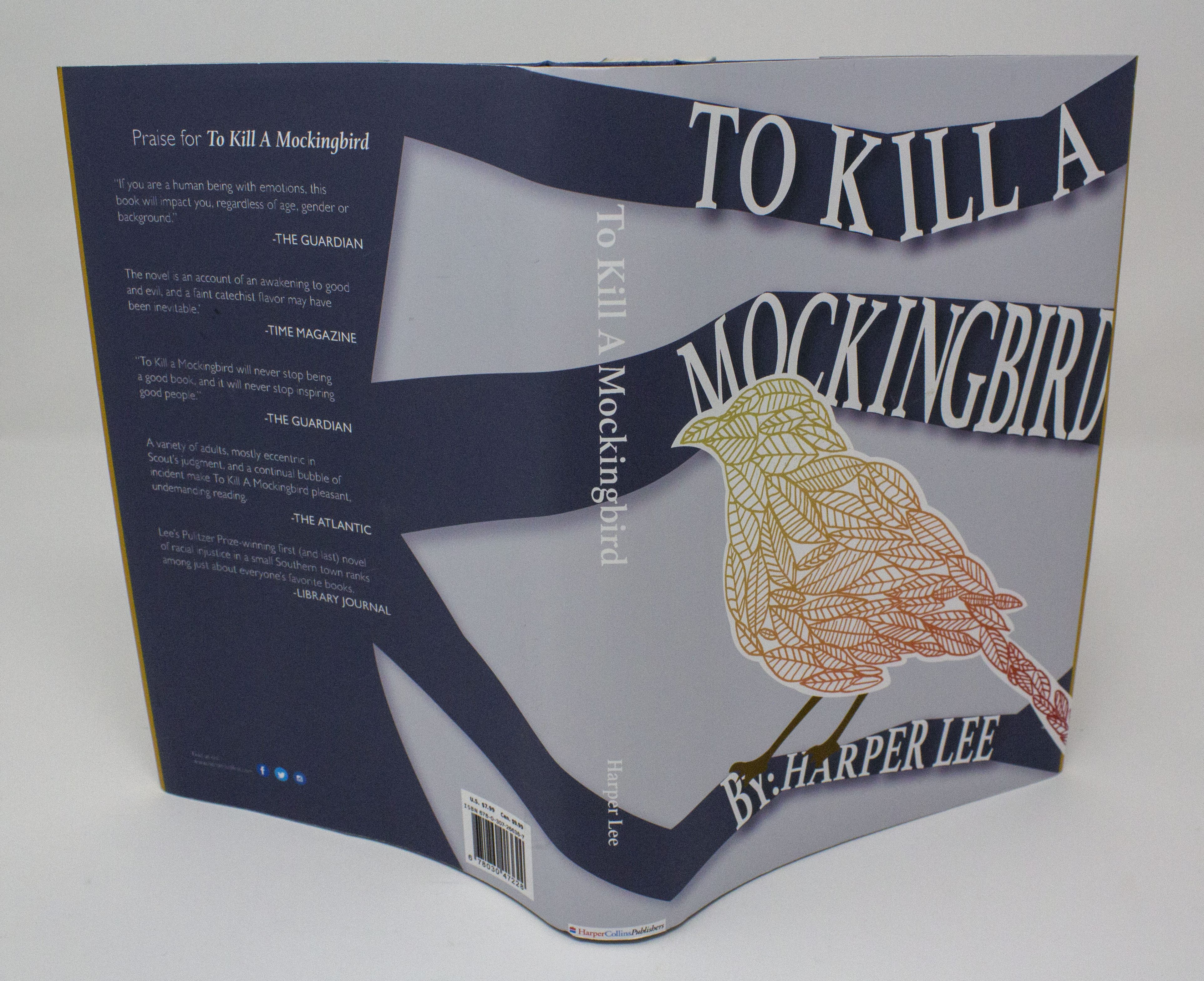 To Kill A Mockingbird – Akaashmi Mishra